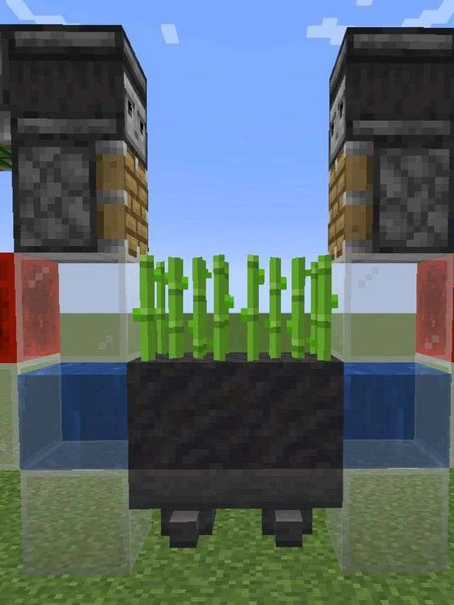 7 Best Minecraft Mini-Farms that Minecraft players should Check Out ...